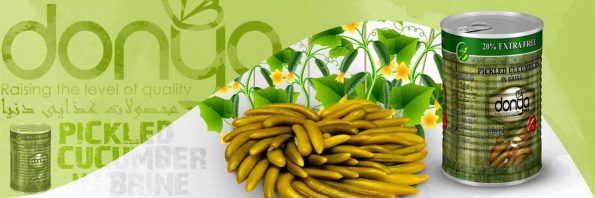 Donya Foods - donya foods